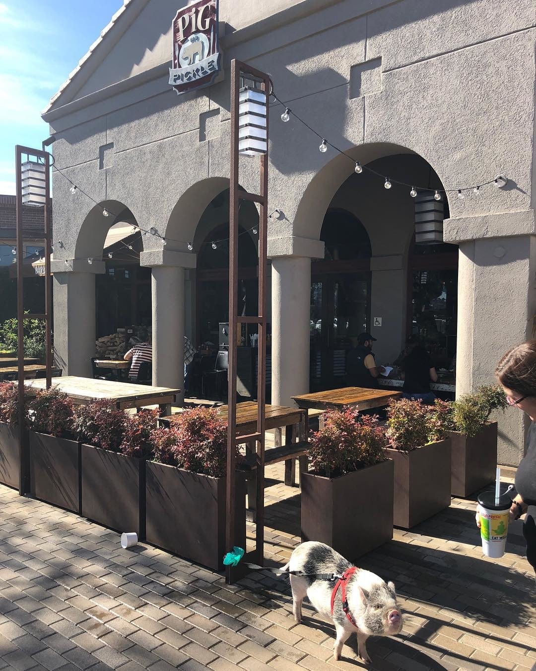 Pig in a Pickle – Corte Madera - a MICHELIN Guide Restaurant