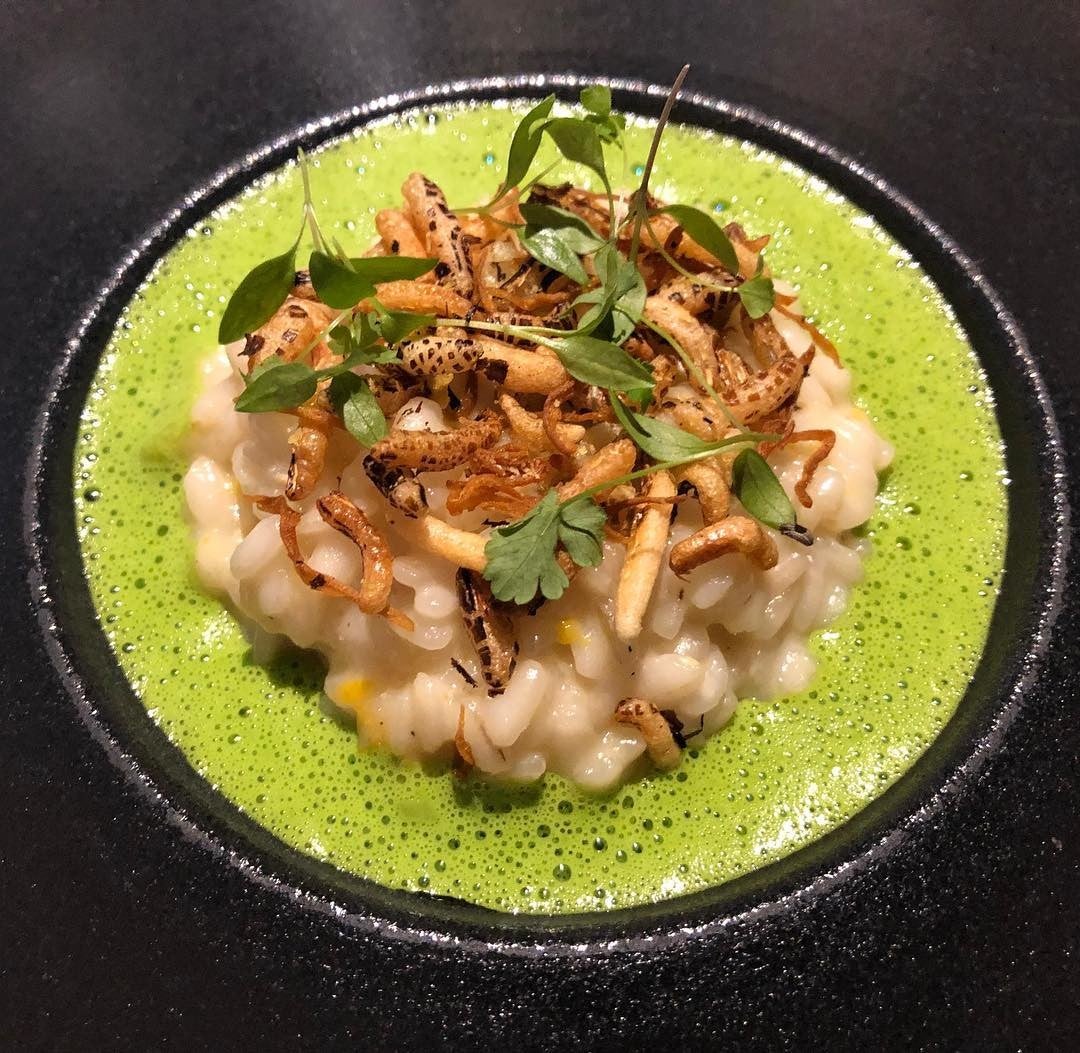 Da Terra – London - a MICHELIN Guide Restaurant