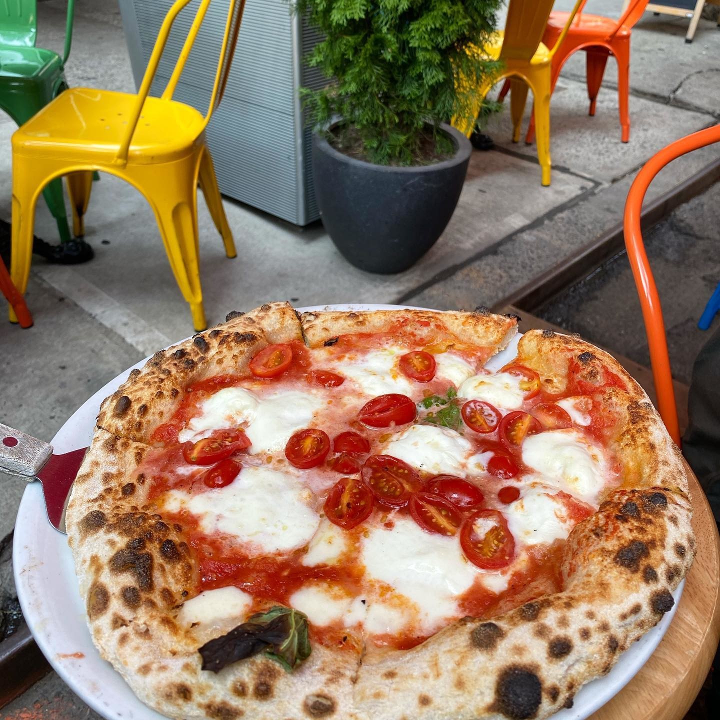Norma Gastronomia Siciliana – New York - a MICHELIN Guide Restaurant