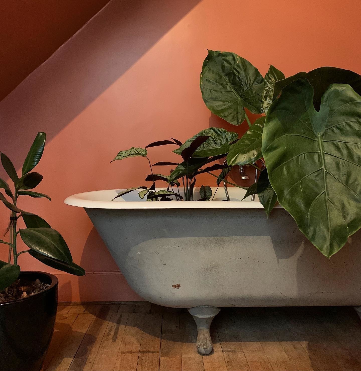 Red Earth No.64 | Modern Emulsion | Walls & Ceilings Paint Modern ...