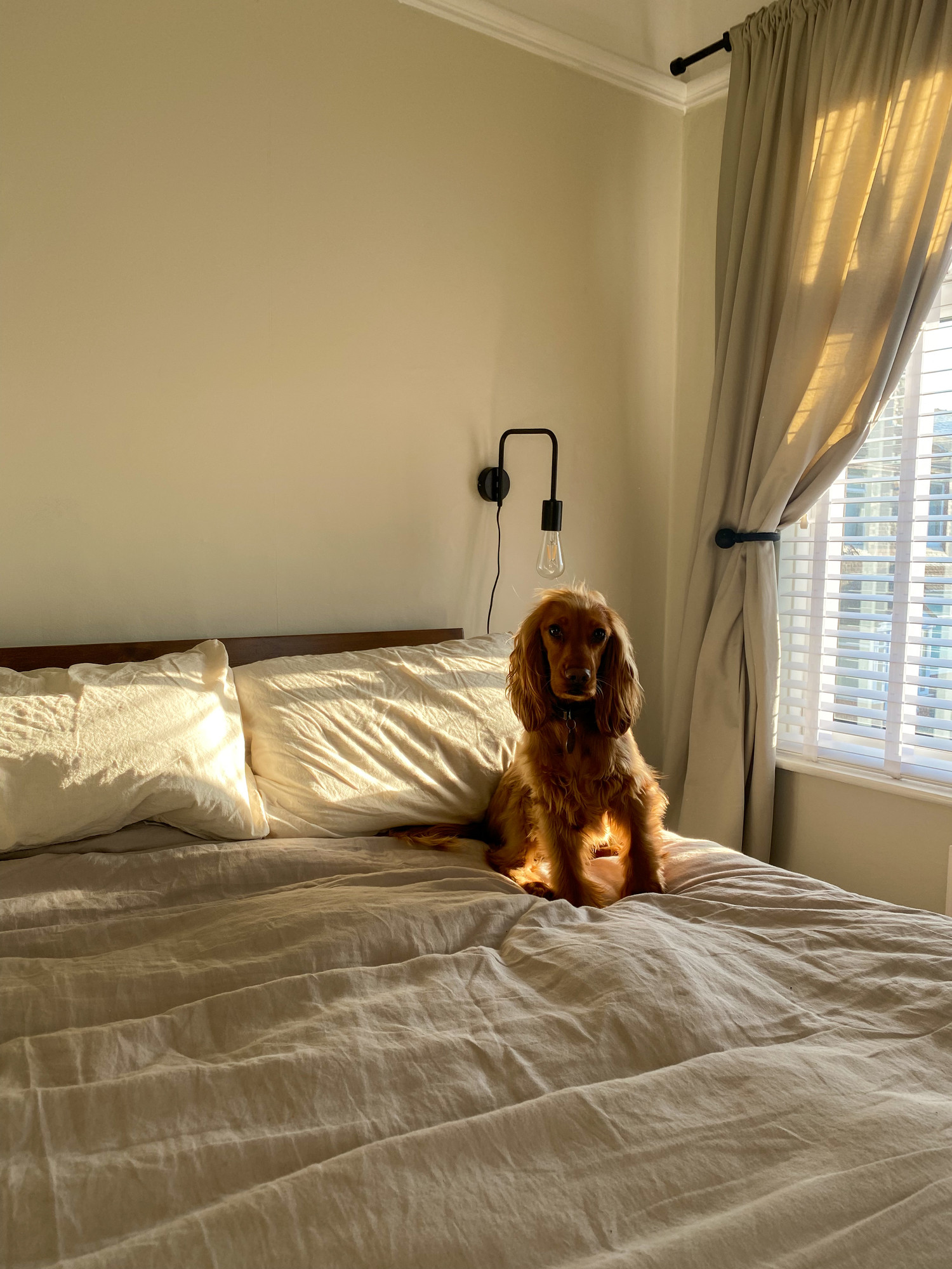 Shadow White No.282 | Estate Emulsion | Ceilings, Mouldings ...