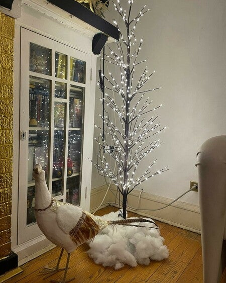 Lit Bare Branch Trees