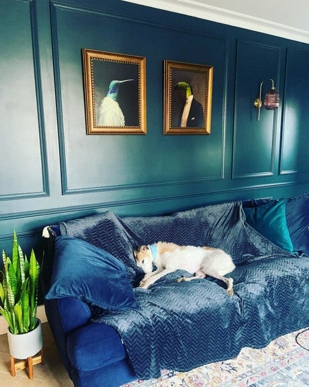 Farrow and ball dark blue store