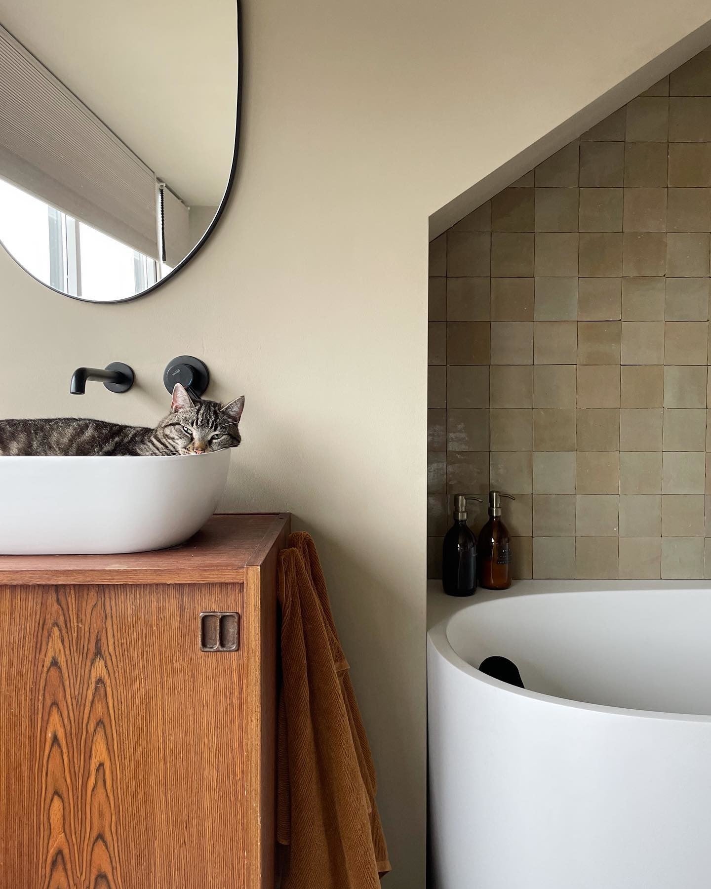 Light Gray No.17 | Modern Emulsion | Walls & Ceilings Paint Modern ...