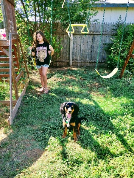 Pixlee Content Gallery