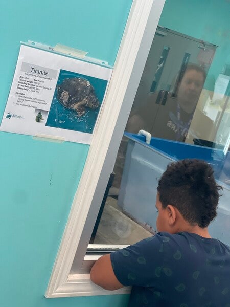 Pixlee Content Gallery