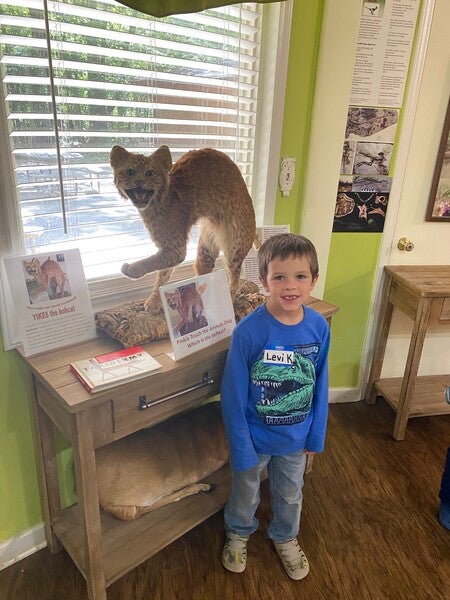 Pixlee Content Gallery