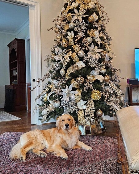 Christmas tree with decorations for sale store